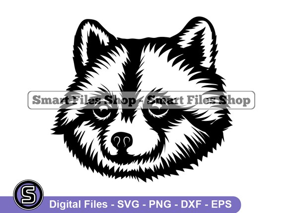 Raccoon Mascot 4 SVG Raccoon Face SVG Raccoon Head Svg - Etsy