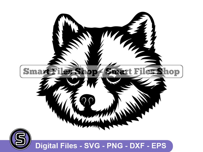 Raccoon Mascot 4 SVG Raccoon Face SVG Raccoon Head Svg - Etsy