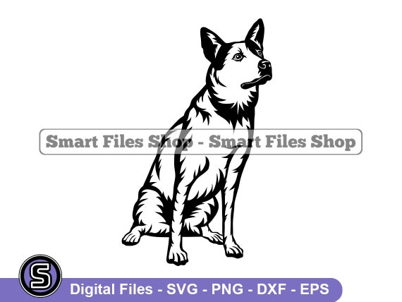 Sitting Australian Stumpy Tail Cattle Dog SVG Australian | Etsy