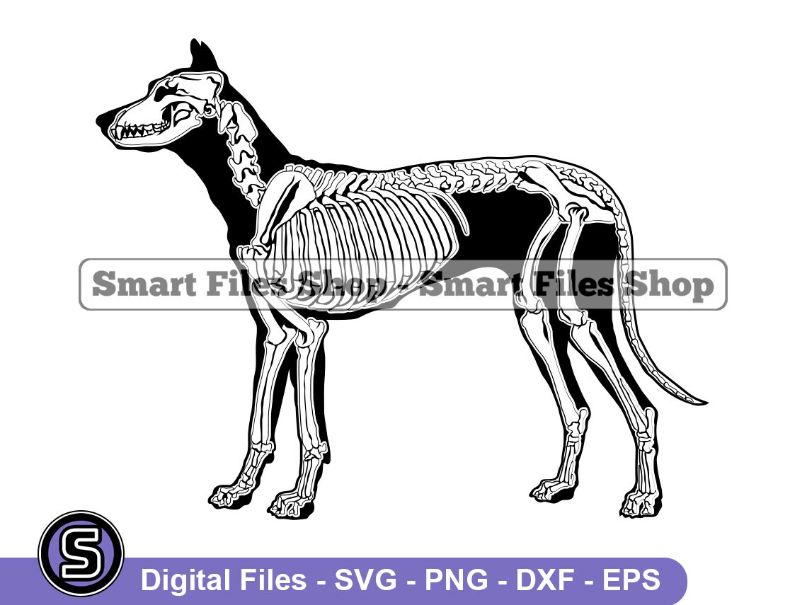 Dog Skeleton SVG Dog Svg Dog Design Svg Pet Svg Dog Dxf - Etsy