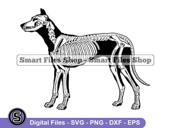 Dog Skeleton SVG Dog Svg Dog Design Svg Pet Svg Dog Dxf - Etsy