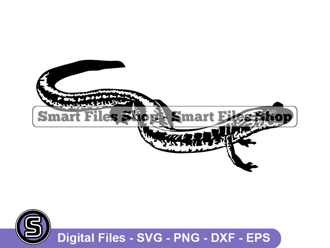 Salamander Svg, Lizard Svg, Salamander Cut Files, Salamander Files for ...
