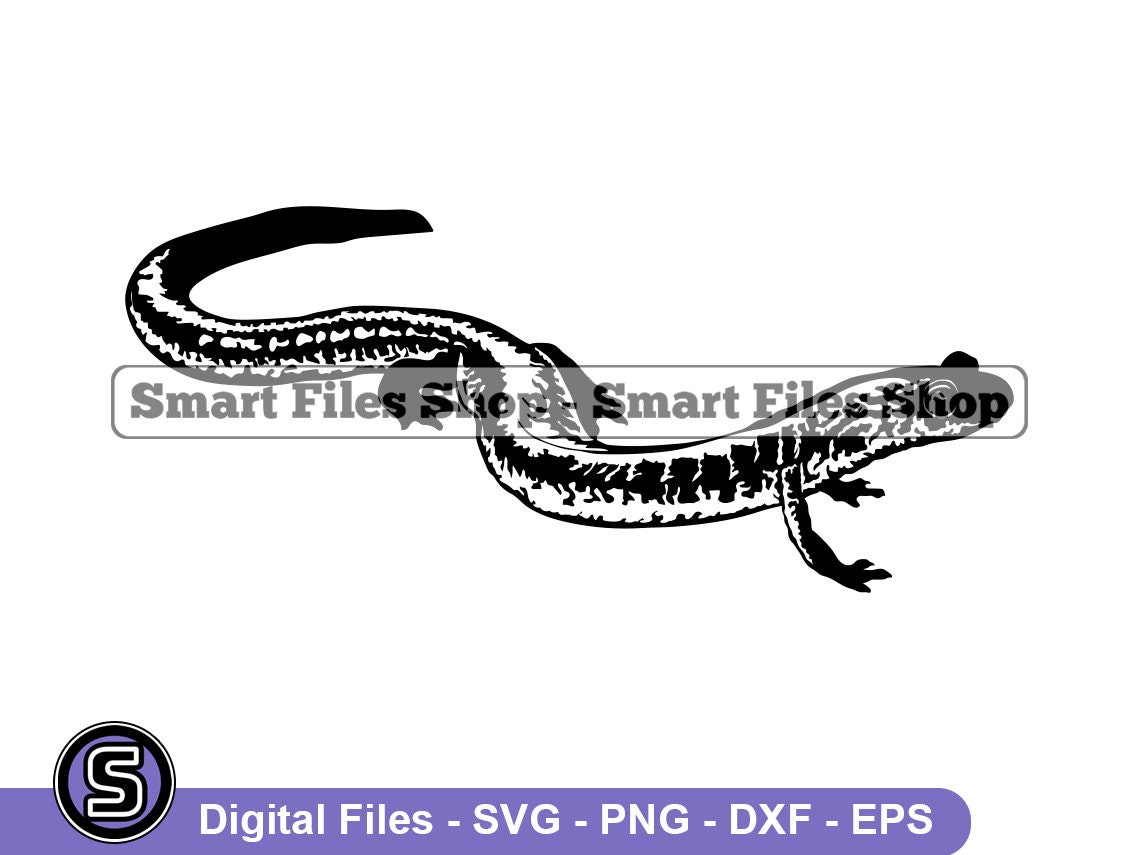 Salamander Svg, Lizard Svg, Salamander Cut Files, Salamander Files for ...