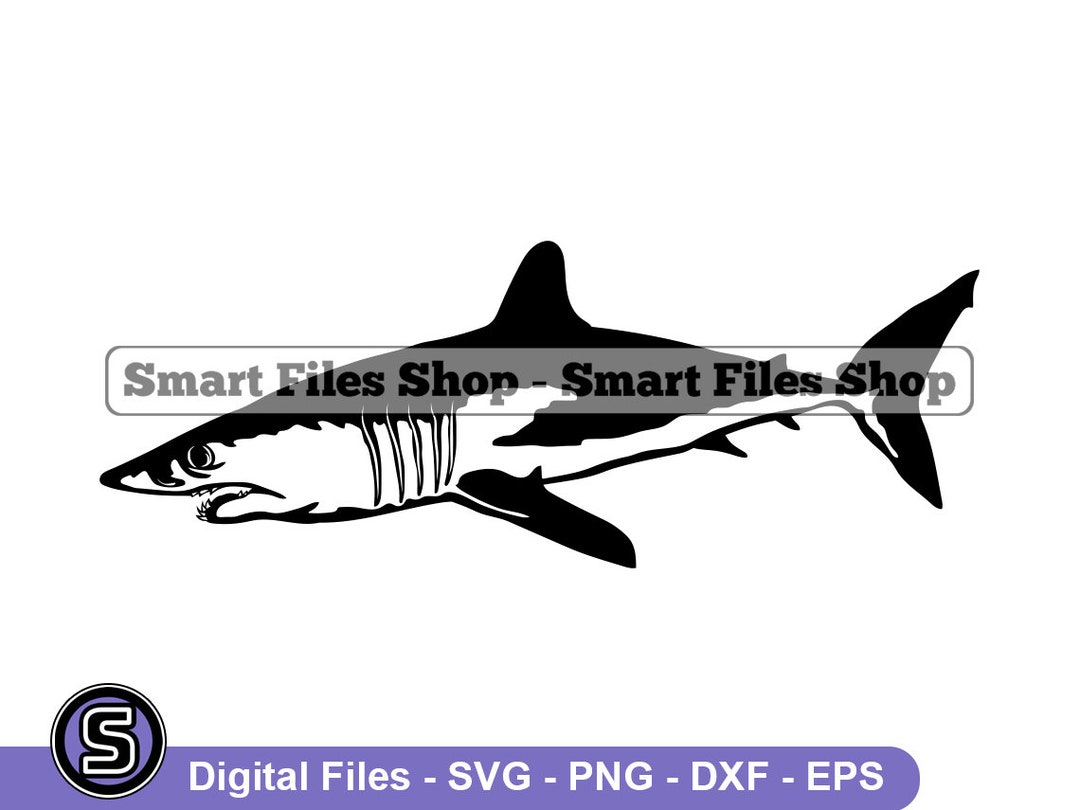 Shortfin Mako Shark #3 SVG, Shortfin Mako Shark SVG, Shark Svg, Shark ...