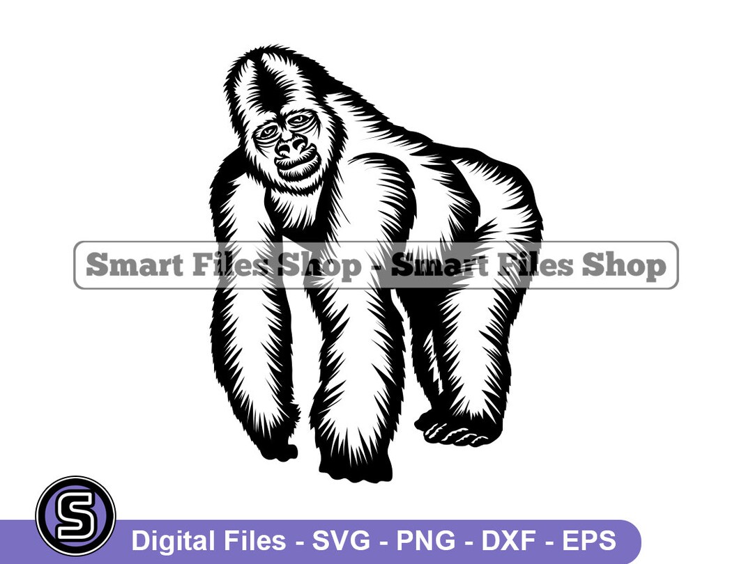 Silverback Gorilla Svg, Gorilla Svg, Ape Svg, Gorilla Dxf, Gorilla Png ...