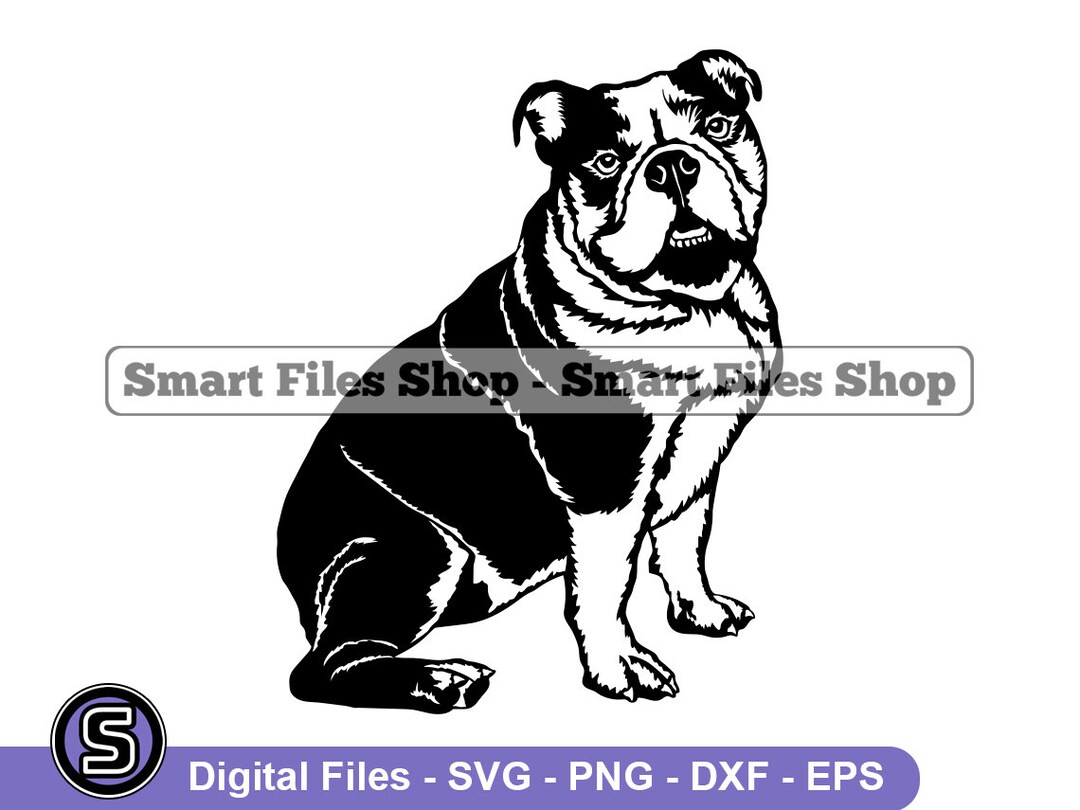 Sitting Dorset Olde Tyme Bulldogge SVG Dorset Olde Tyme - Etsy