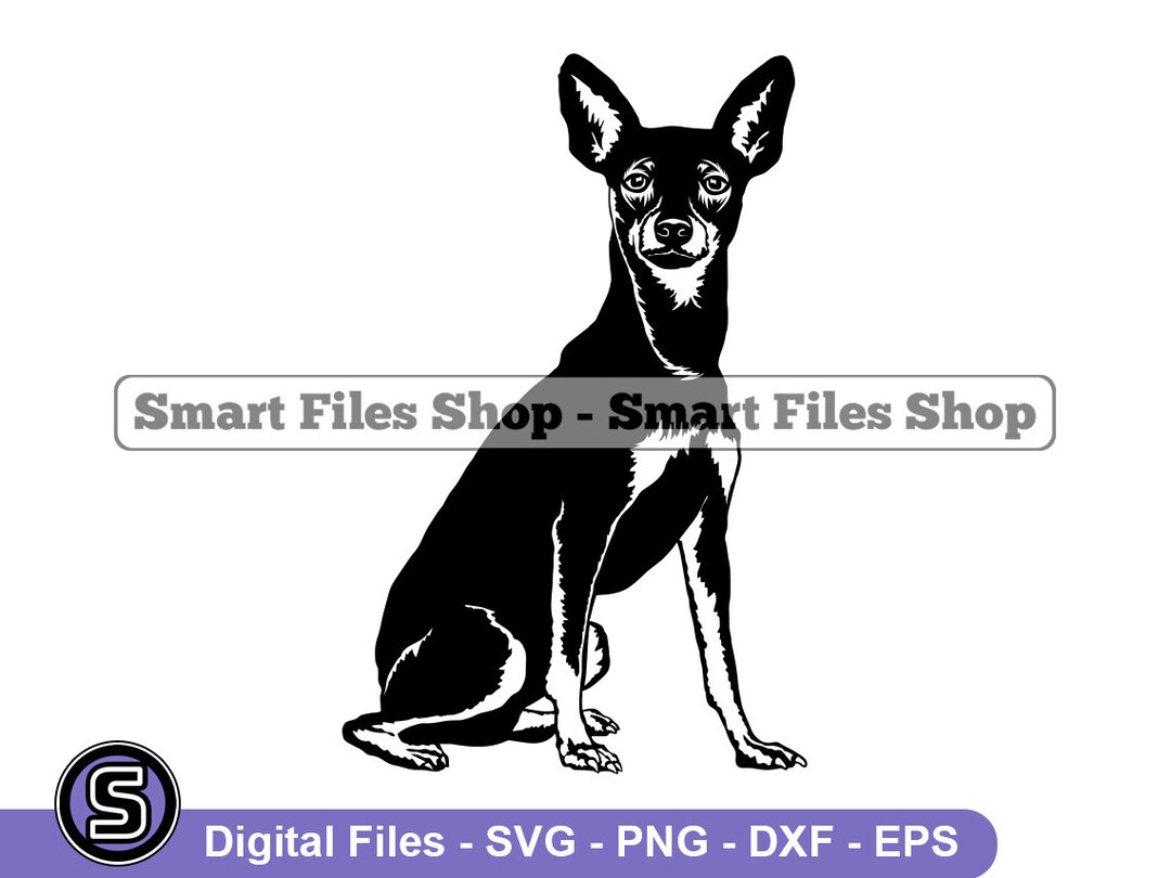 Sitting Miniature Pinscher SVG, Miniature Pinscher Svg, Dog Svg ...
