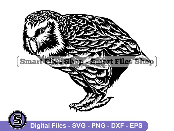 Kakapo Svg Bird Svg Kakapo Design Svg Kakapo Dxf Kakapo | Etsy