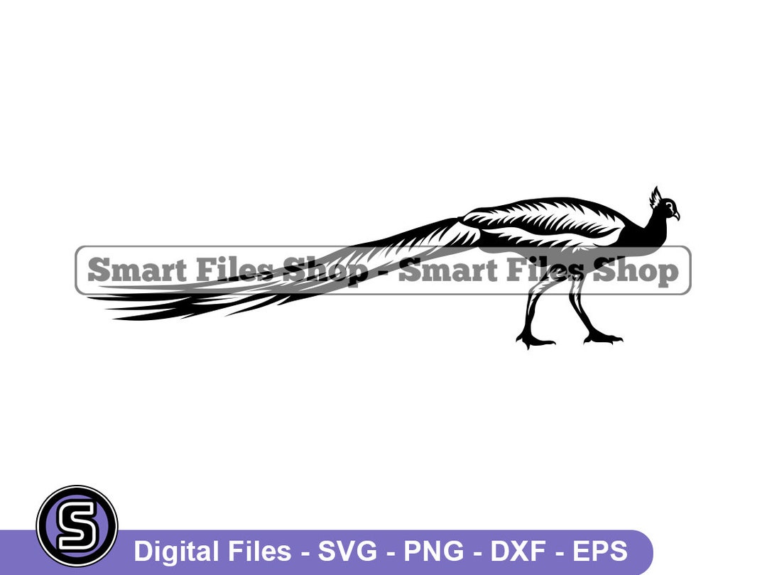 Peacock 5 Svg, Peacock Svg, Peafowl Svg, Peacock Dxf, Peacock Png ...
