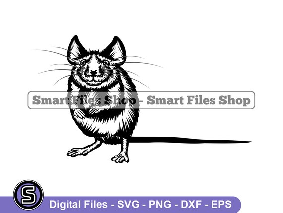 Mouse 4 SVG Mouse SVG Animals Svg Mouse Dxf Mouse Png - Etsy