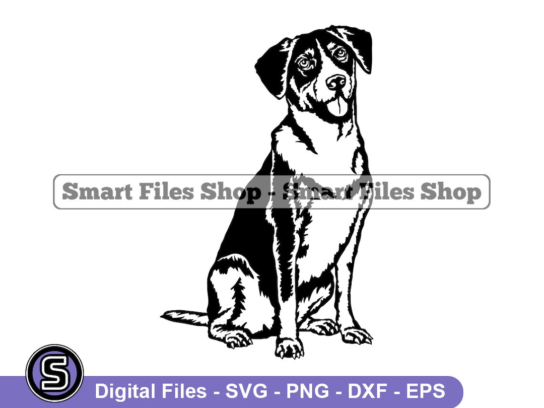 Sitting Treeing Walker Coonhound SVG, Treeing Walker Coonhound Svg, Dog ...