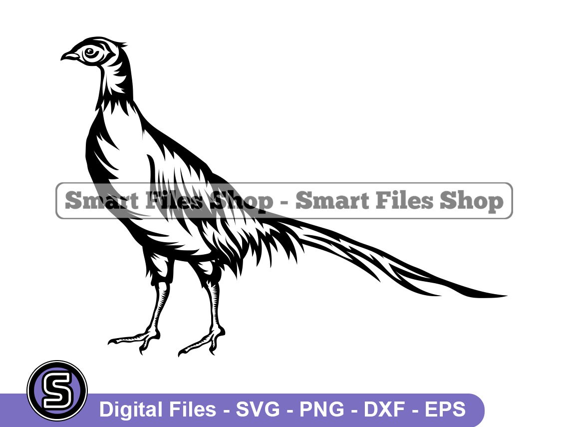 Pheasant SVG Pheasant Dxf Pheasant Png Pheasant Clipart | Etsy