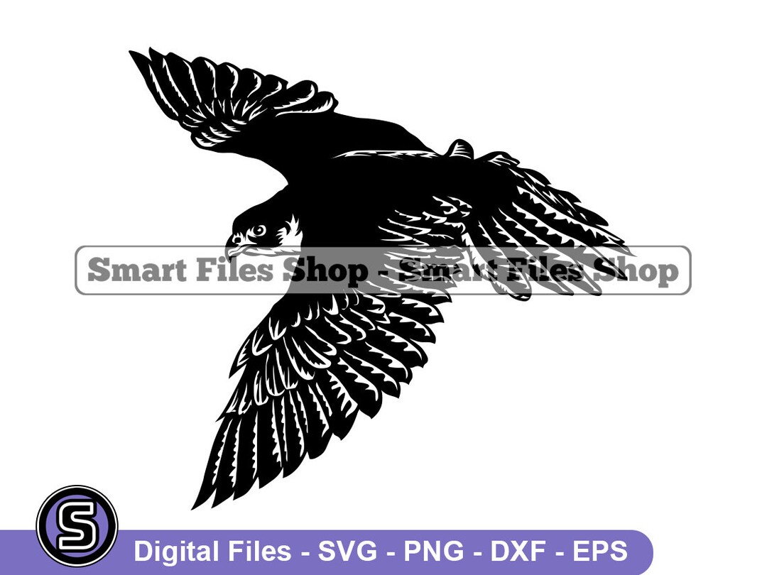 Falcon 3 Svg, Falcon Svg, Predator Bird Svg, Falcon Dxf, Falcon Png ...