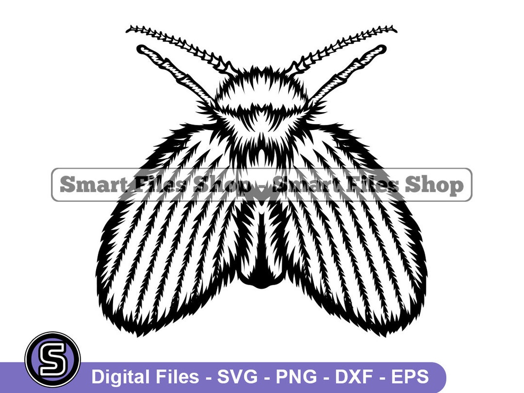 Drain Fly SVG, Moth Fly SVG, Bug Svg, Fly SVG, Fly Dxf, Fly Png, Fly ...