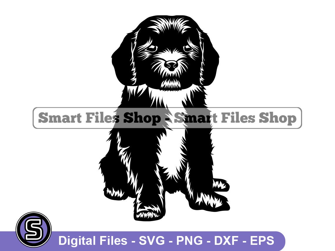 Sitting Cavapoo SVG, Cavoodle Svg, Dog Svg, Cavapoo Dxf, Cavapoo Png ...