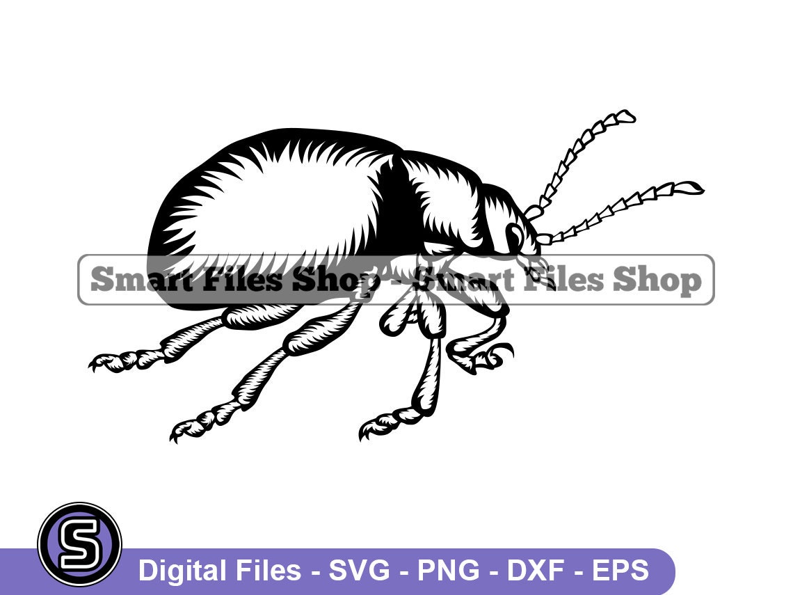 Walking Beetle Svg Beetle Svg Bug Svg Insect Svg Beetle - Etsy