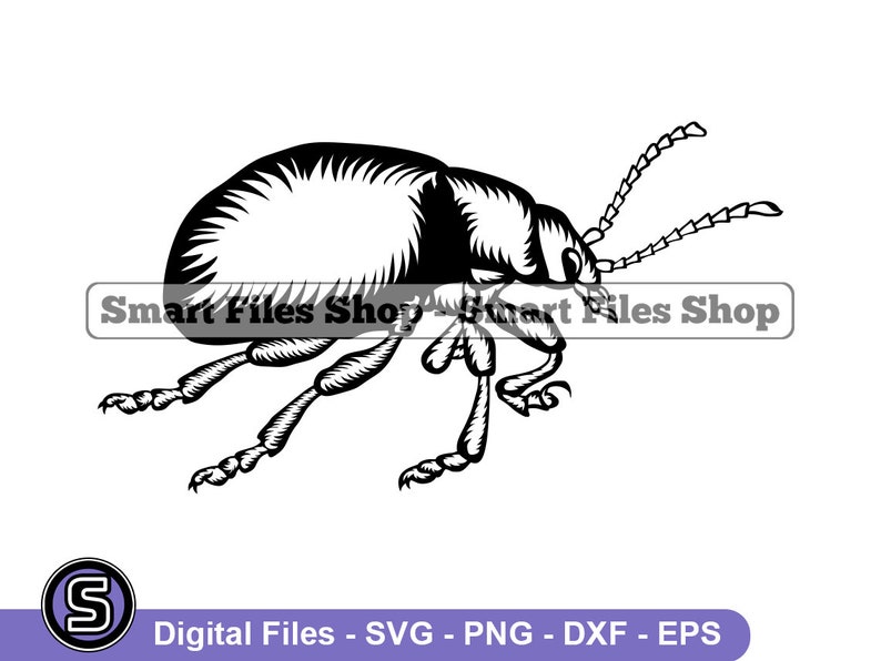 Walking Beetle Svg Beetle Svg Bug Svg Insect Svg Beetle - Etsy