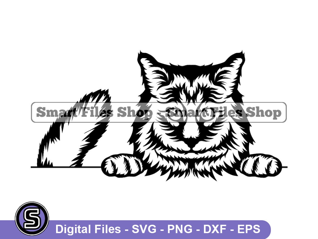 Katze SVG, Katze SVG, Katze SVG, Katze Dxf, Katze Png, Katze Clipart ...