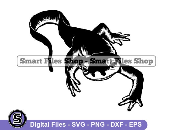 Newt 2 Svg Newt Svg Lizard Svg Newt Lizard Svg Newt Cut - Etsy