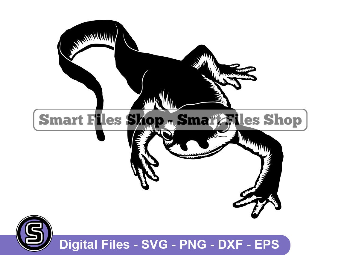 Newt #2 Svg, Newt Svg, Lizard Svg, Newt Lizard Svg, Newt Cut Files ...
