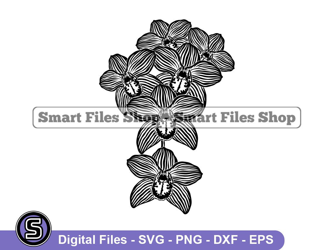 Orchid Flower 3 Svg Flower Svg Orchid Flower Dxf Orchid - Etsy