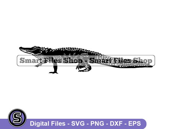Alligator 4 Svg Alligator Svg Alligator Dxf Alligator Png - Etsy