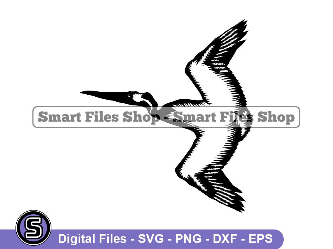 Diving Pelican Svg Bird Svg Pelican Svg Bird Logo Svg | Etsy