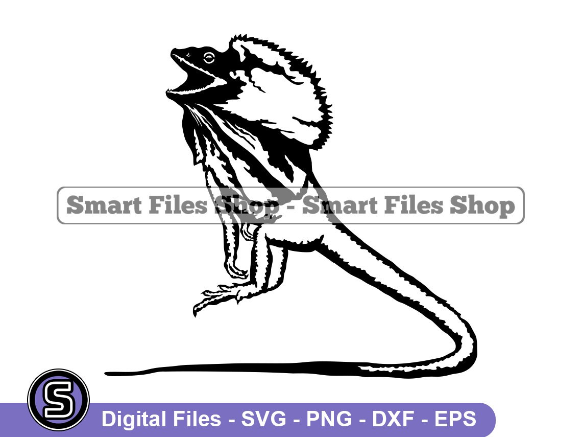 Frilled Neck Lizard 2 SVG Lizard SVG Reptiles Svg Lizard - Etsy Australia