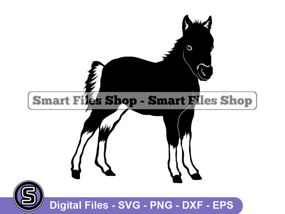Young Pony SVG, Pony SVG, Baby Pony SVG, Small Horse Svg, Pony Dxf ...