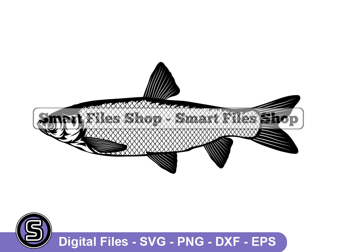 Grass Carp Svg Fish Svg Fishing Svg Fishing Dxf Fishing | Etsy