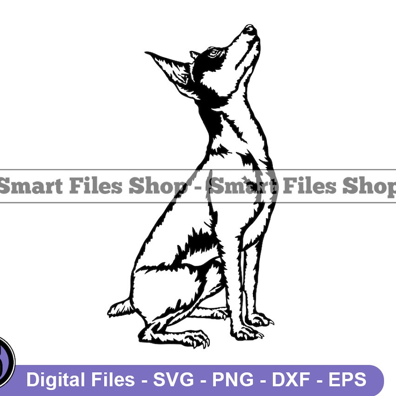 Toy Fox Terrier - Etsy