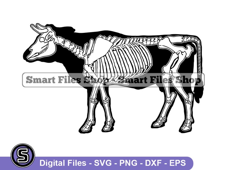Cow Skeleton 2 SVG Cow Svg Cattle Svg Farm Animals Svg - Etsy