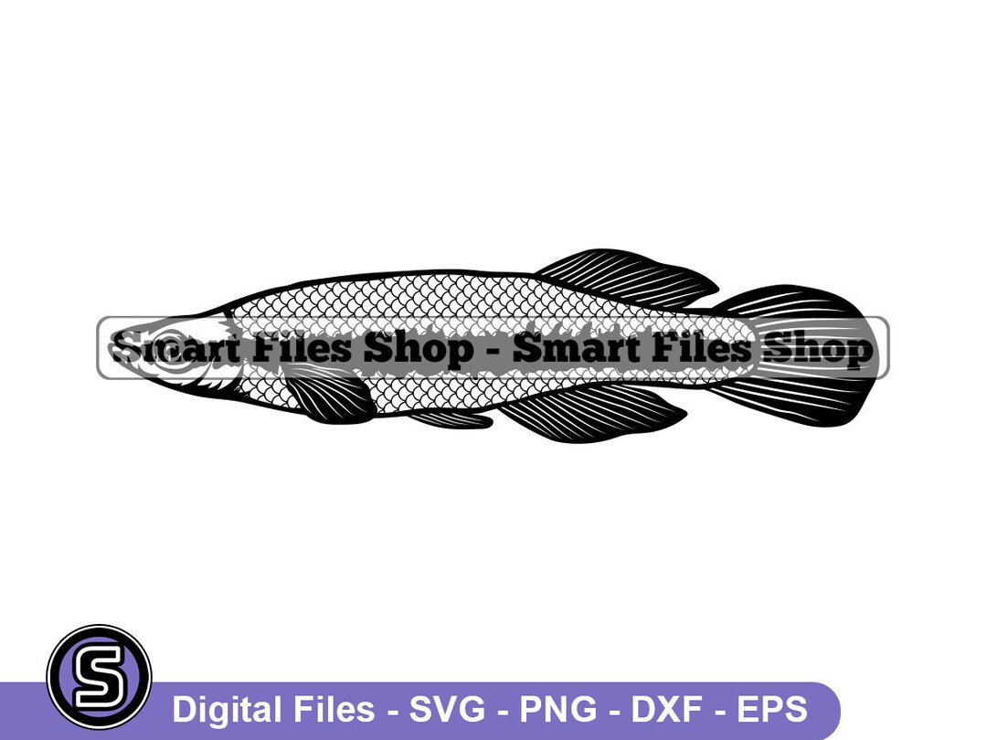 Blackstripe Topminnow Svg, Fish Svg, Fishing Svg, Fishing Dxf, Fishing ...