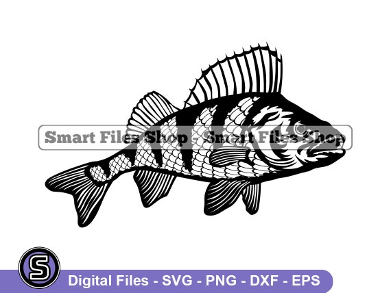 Perch Svg Fish Svg Fishing Svg Perch Dxf Perch Png Perch | Etsy