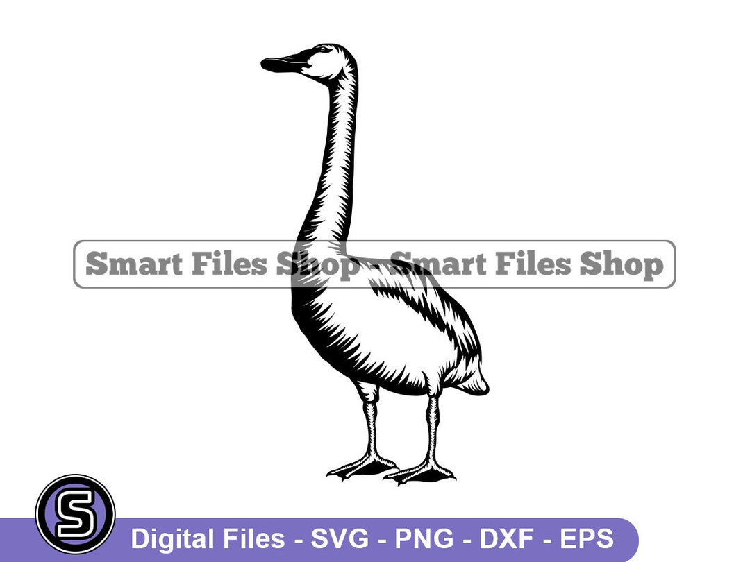 Swan SVG, Birds Svg, Swan Dxf, Swan Png, Swan Clipart, Swan Files, Swan ...