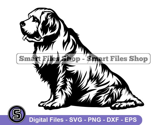 Sitting Clumber Spaniel SVG Clumber Spaniel Svg Dog Svg - Etsy