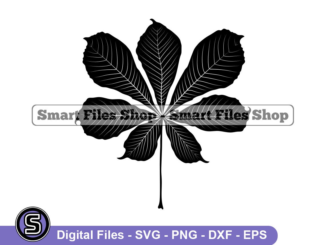 Chestnut Leaf Svg Leaf Svg Chestnut Svg Chestnut Leaf Dxf | Etsy