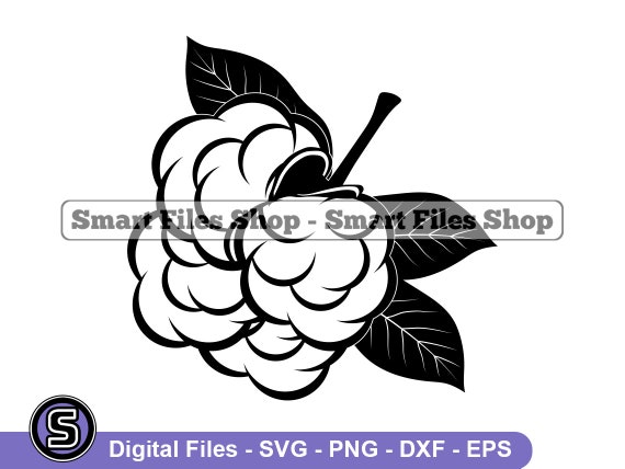 Cotton Svg Cotton Design Svg Cotton Dxf Cotton Png Cotton - Etsy