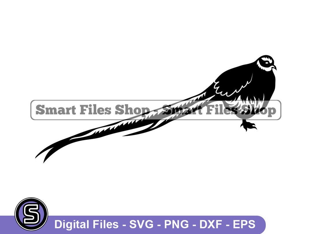 Peacock 7 Svg, Peacock Svg, Peafowl Svg, Peacock Dxf, Peacock Png ...