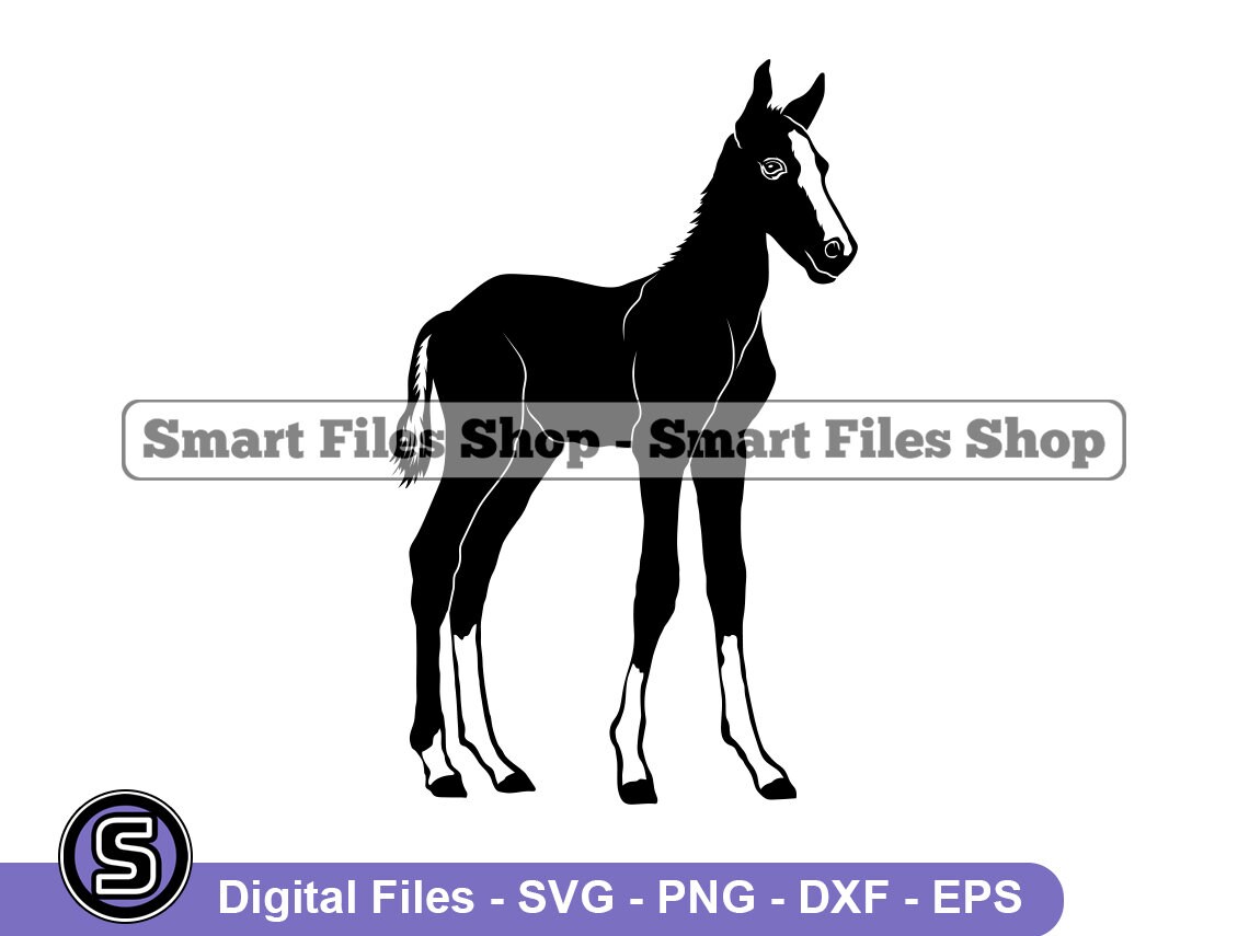 Baby Horse SVG Foal Svg Small Horse Svg Horse Dxf Horse - Etsy