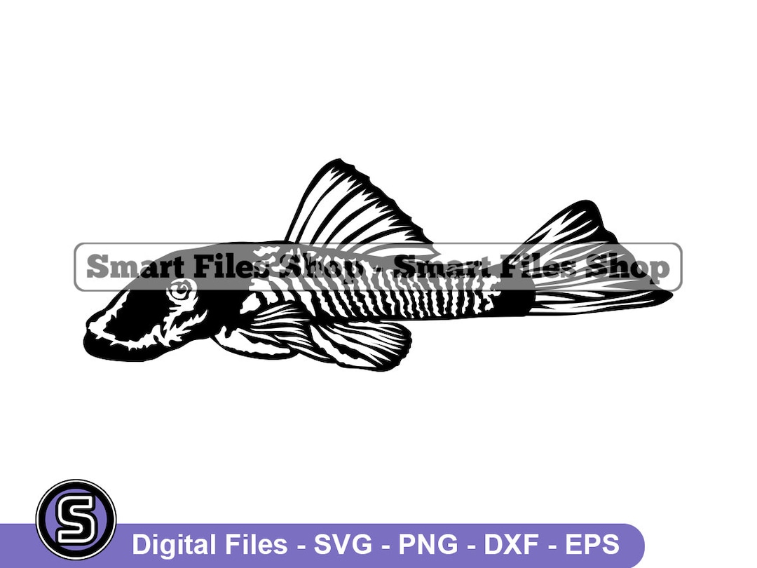 Bristlenose Pleco Svg, Aquarium Fish Svg, Fish Svg, Pet Fish Svg ...