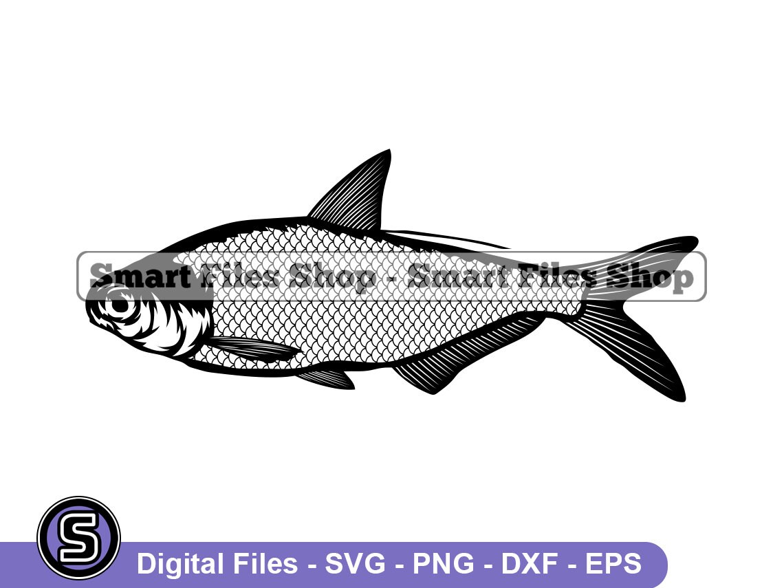 Gizzard Shad Svg Fish Svg Fishing Svg Fishing Dxf Fishing - Etsy