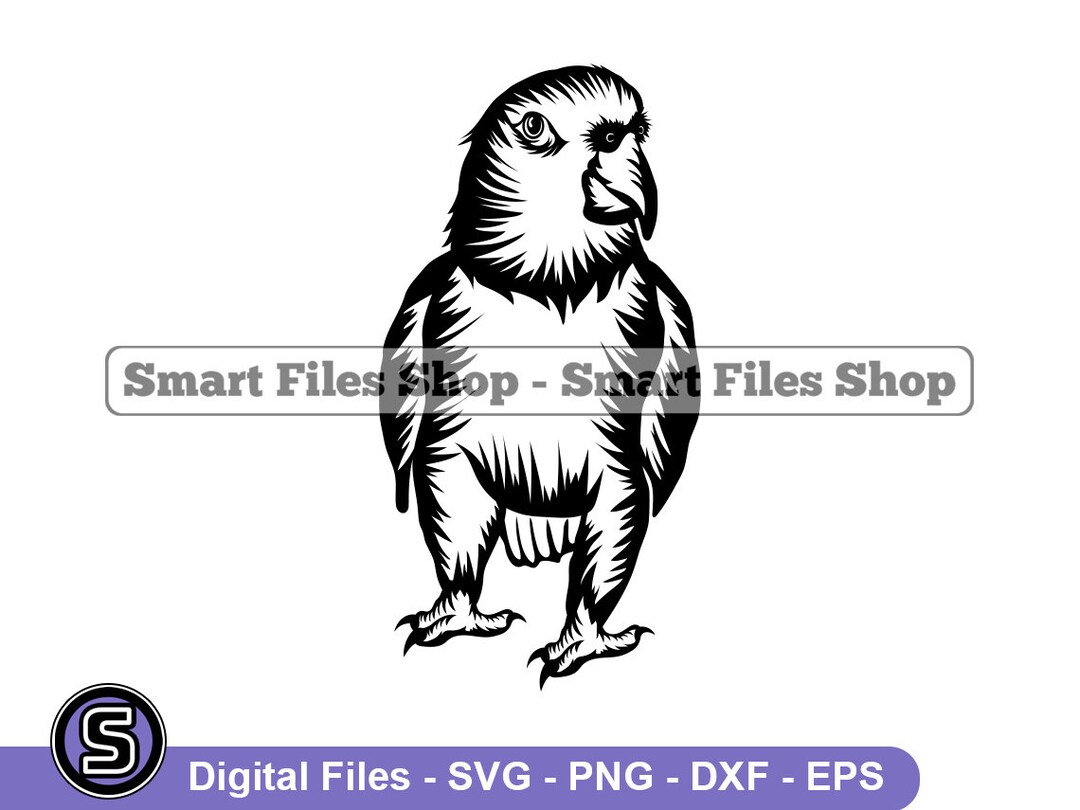 Parrot Svg, Bird Svg, Parrot Dxf, Parrot Png, Parrot Clipart, Parrot ...