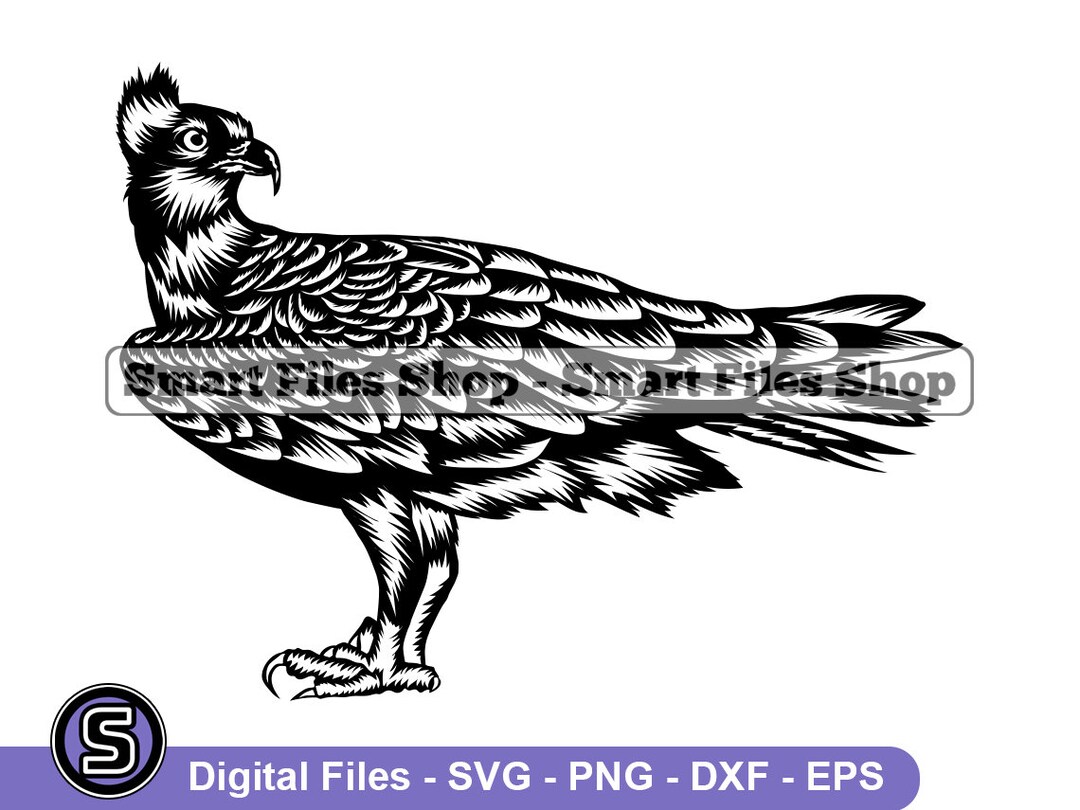 Osprey 7 Svg, Osprey Svg, Predator Bird Svg, Osprey Dxf, Osprey Png ...