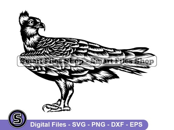 Osprey 7 Svg Osprey Svg Predator Bird Svg Osprey Dxf - Etsy