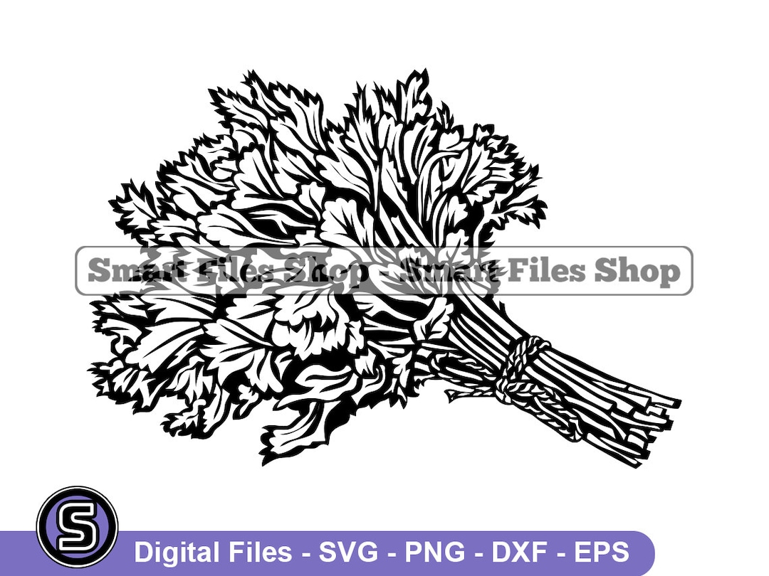 Parsley Svg, Vegetables Svg, Parsley Dxf, Parsley Png, Parsley Clipart ...