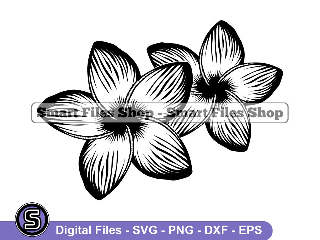 Frangipani Flowers #2 Svg, Frangipani Flower Svg, Flower Svg ...