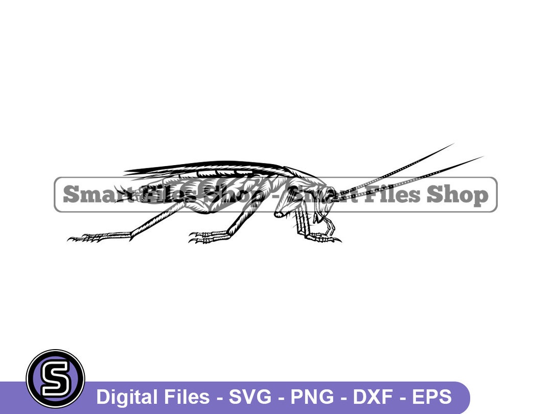 Cockroach 2 SVG, Roach SVG, Cockroach Dxf, Cockroach Png, Cockroach ...