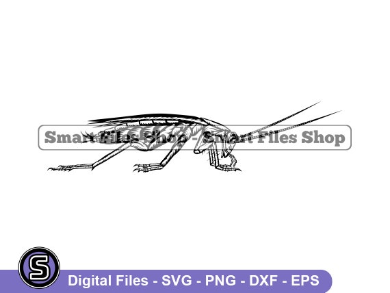 Cockroach 2 SVG Roach SVG Cockroach Dxf Cockroach Png | Etsy
