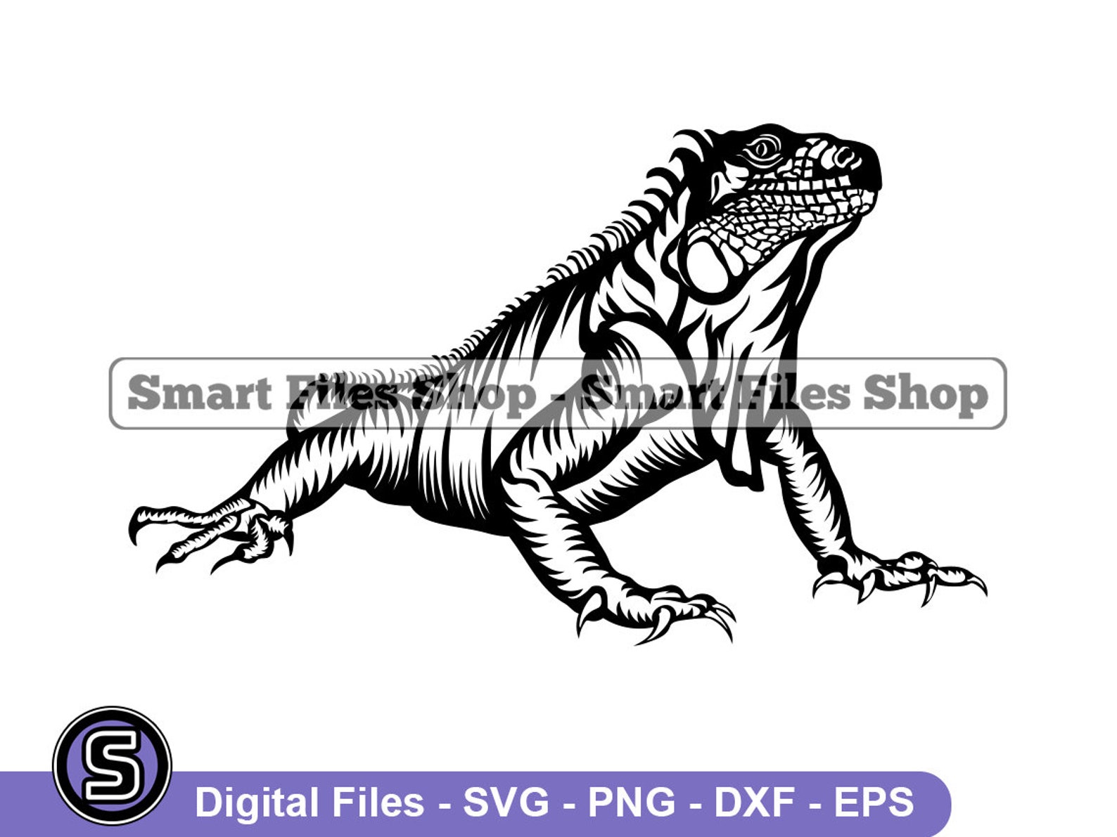 Iguana Svg Lizard Svg Reptile Svg Iguana Dxf Iguana Png - Etsy